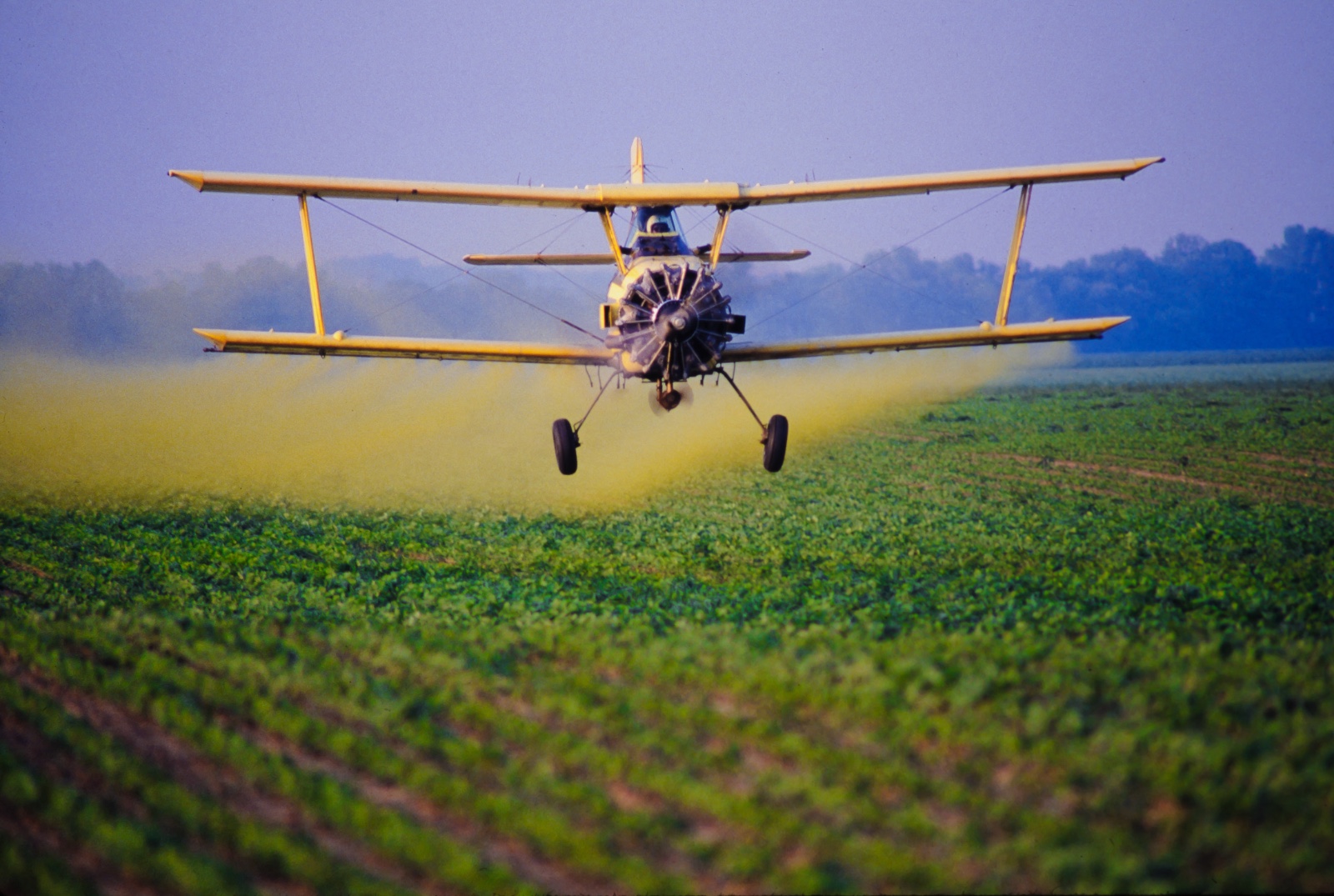 Crop Duster, Owensboro, KY